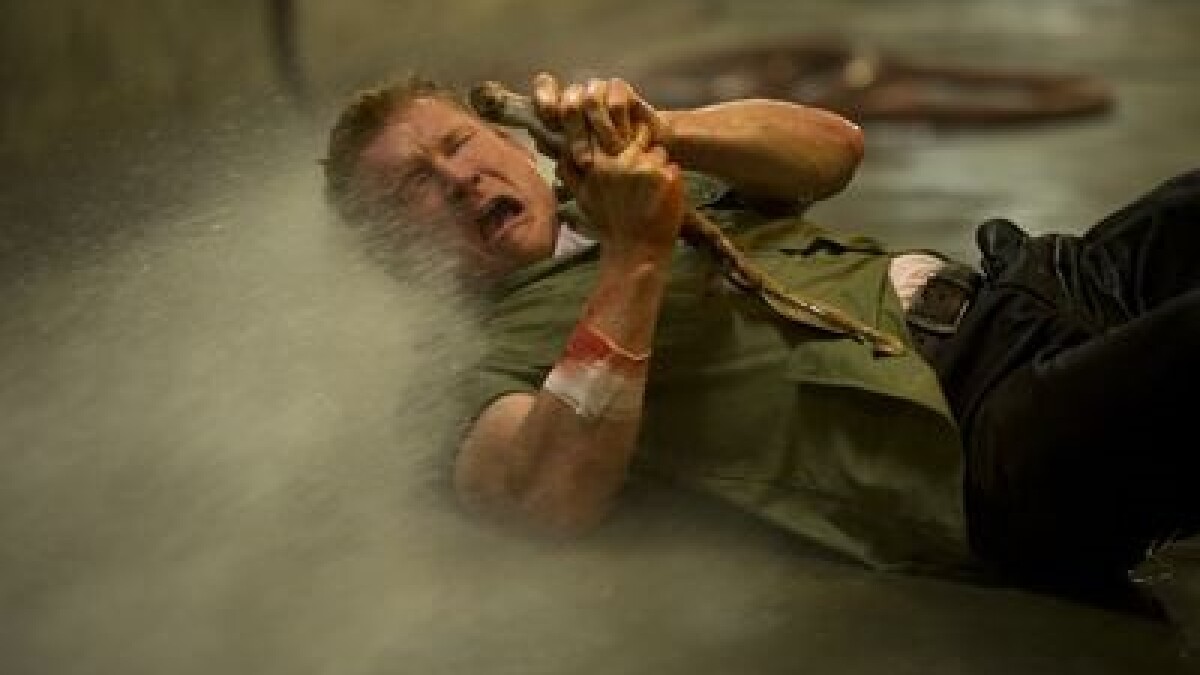 do lampreys bite humans