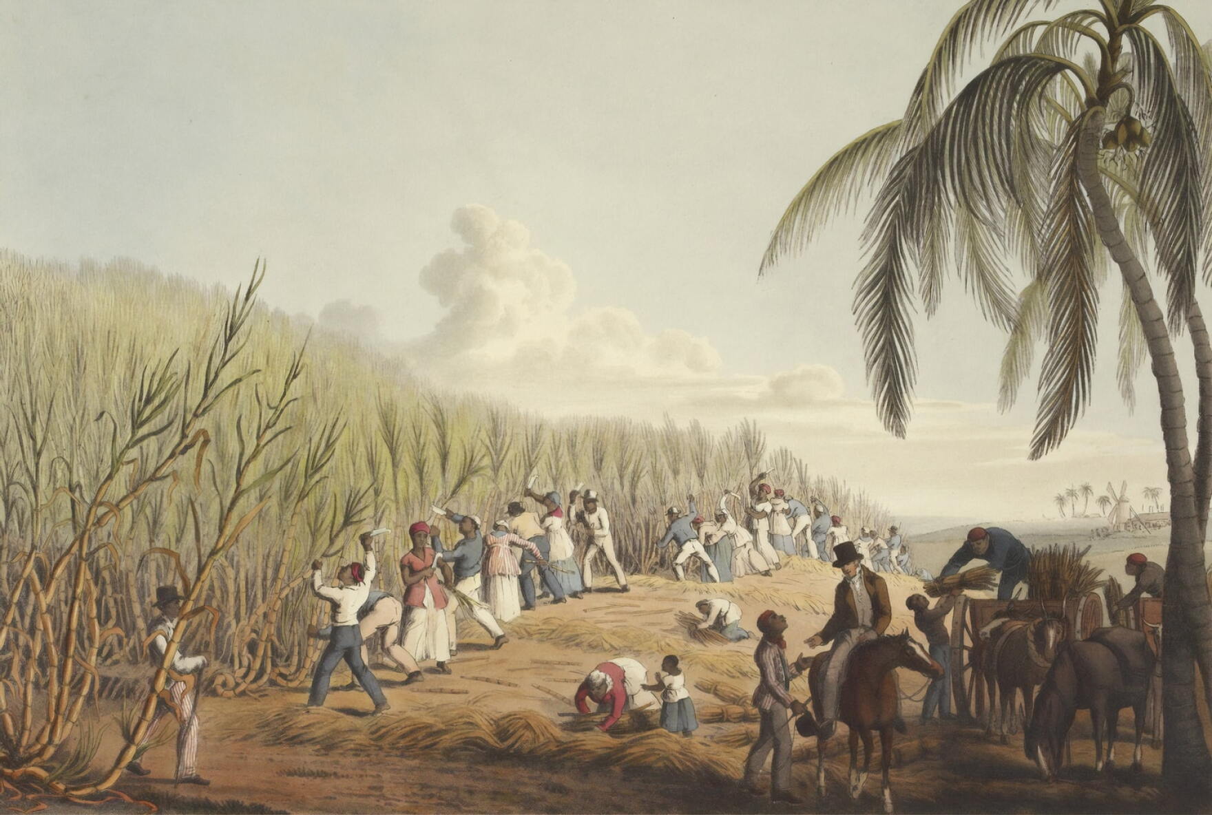 Perspective: The Vocabulary Of Slavery | Northern Public Radio: WNIJ ...