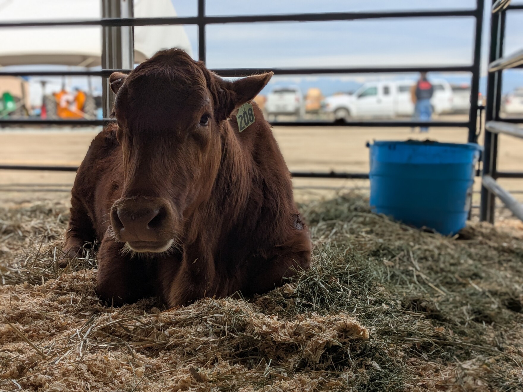 Tech, tractors and cows: A look back at the world’s biggest farm trade ...