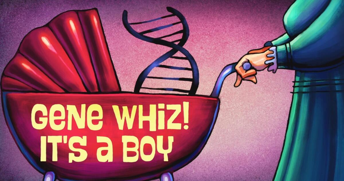 The Gene Explained | Gene Whiz! It's a Boy!