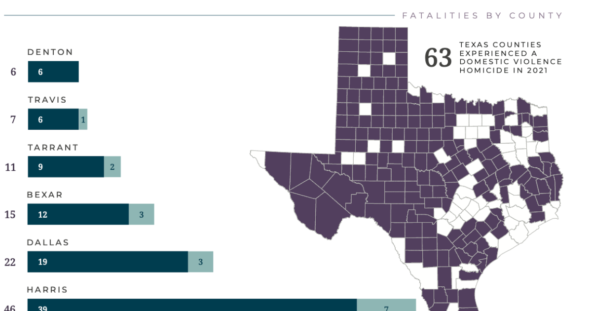 Texas Had 204 Domestic Violence Deaths In In 2021
