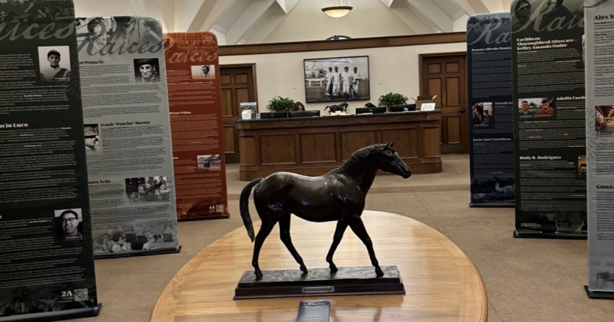 horse library display