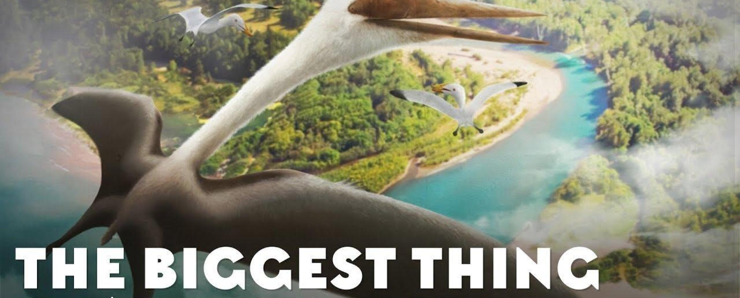 The Biggest Thing That Ever Flew