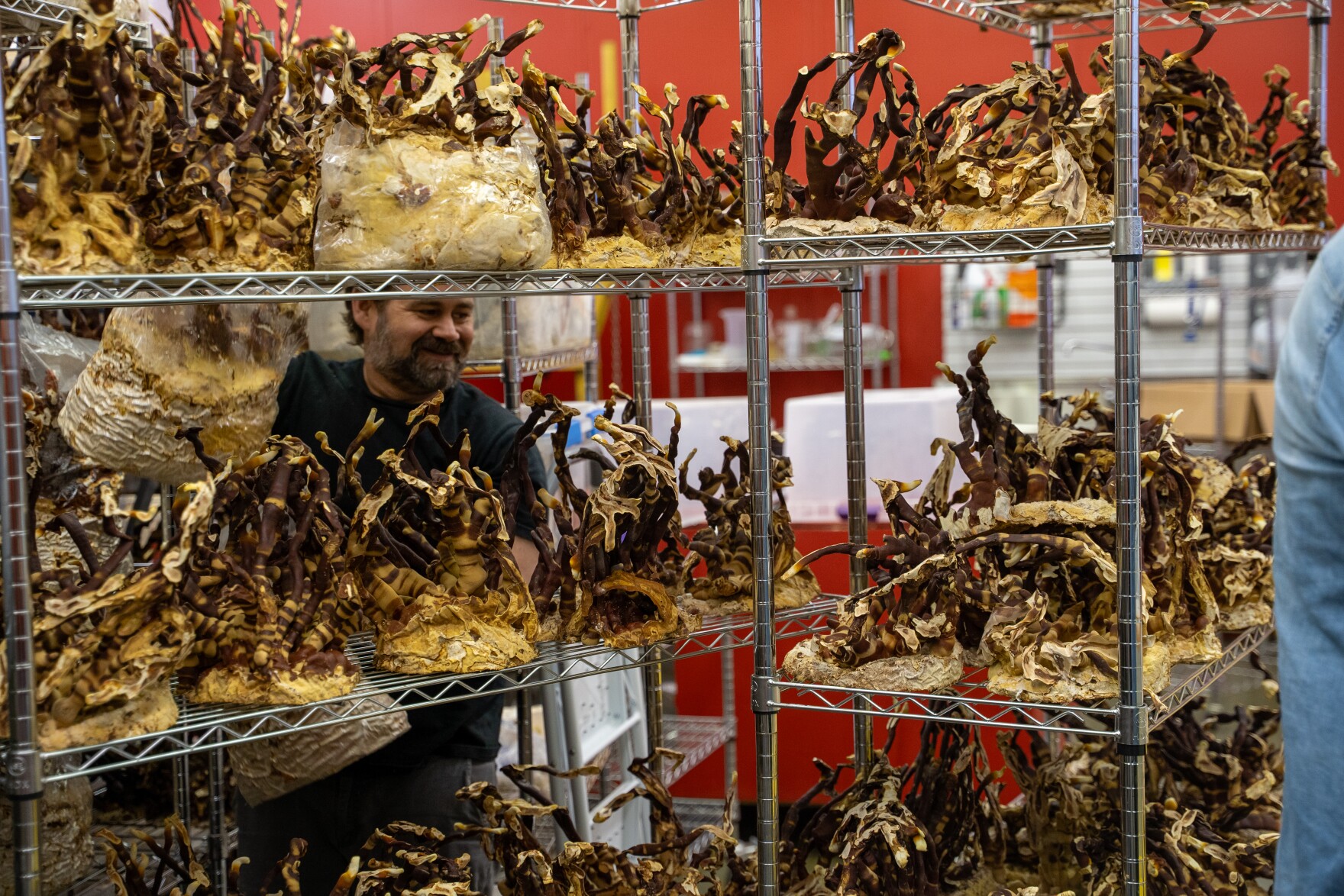 Can 'mycotecture' be the building block for Cleveland's housing needs ...