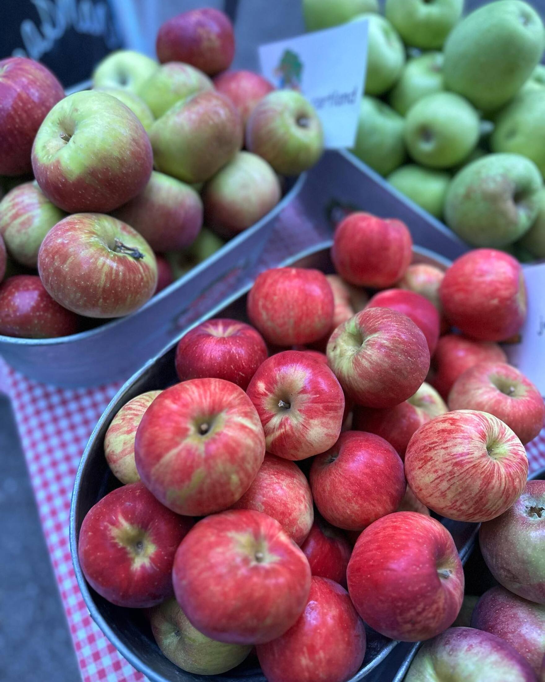 NC Apple Festival promises “bushels of fun” this weekend in ...
