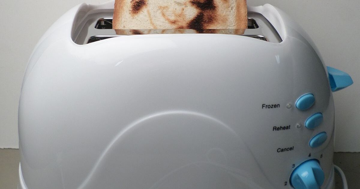 selfie toaster