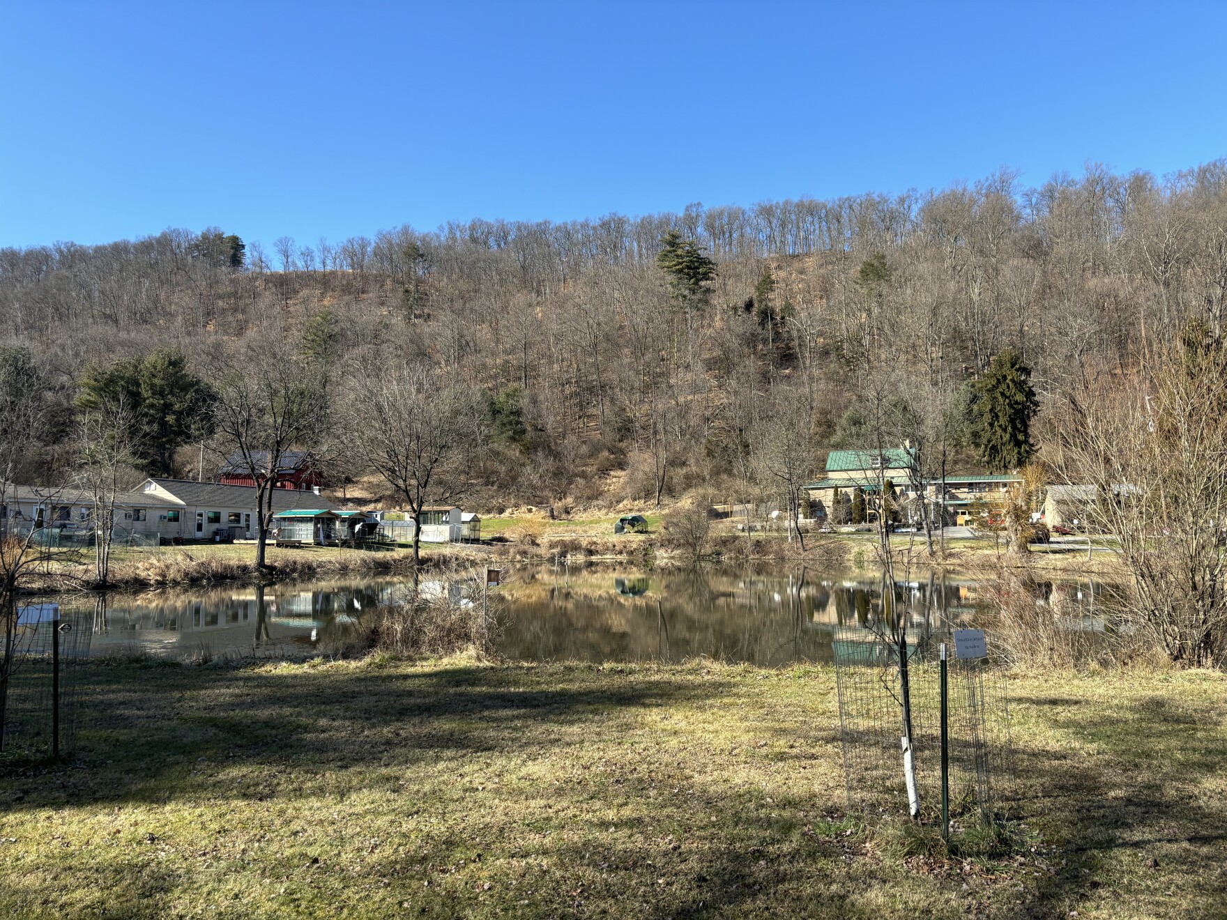 Animals go Wilderz in the Poconos