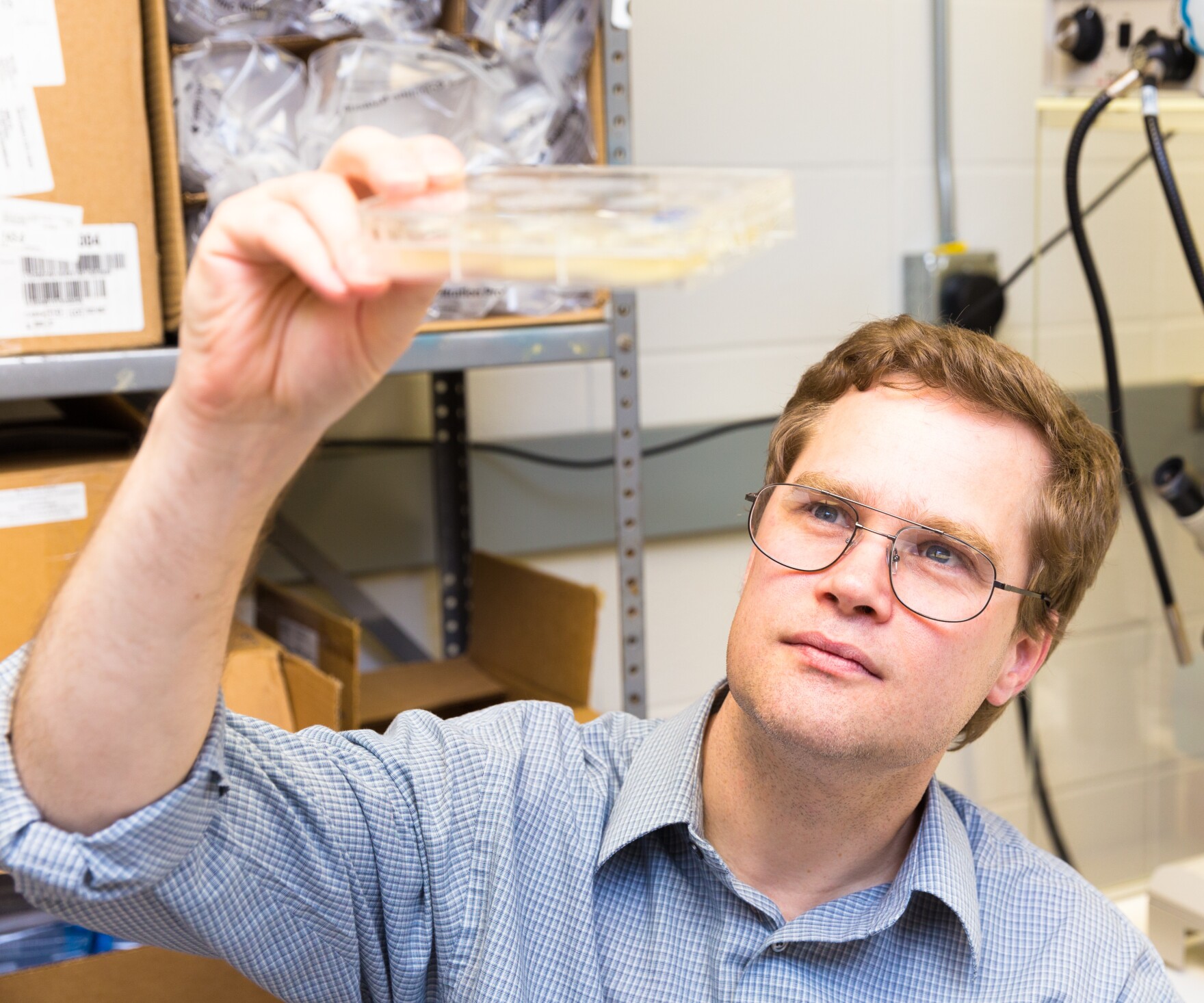 Wound Healing | SDPB