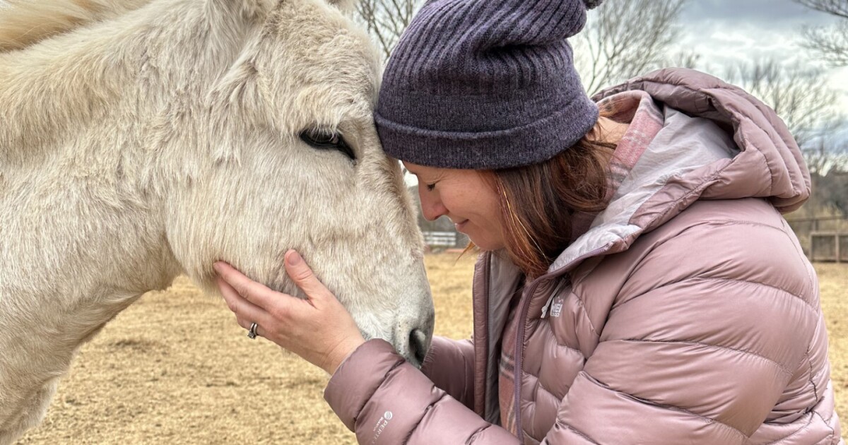 Farm-based activities can support mental wellness. Why aren't there ...