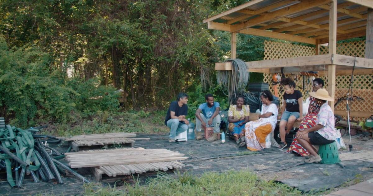 The Ants & the Grasshopper | Trailer