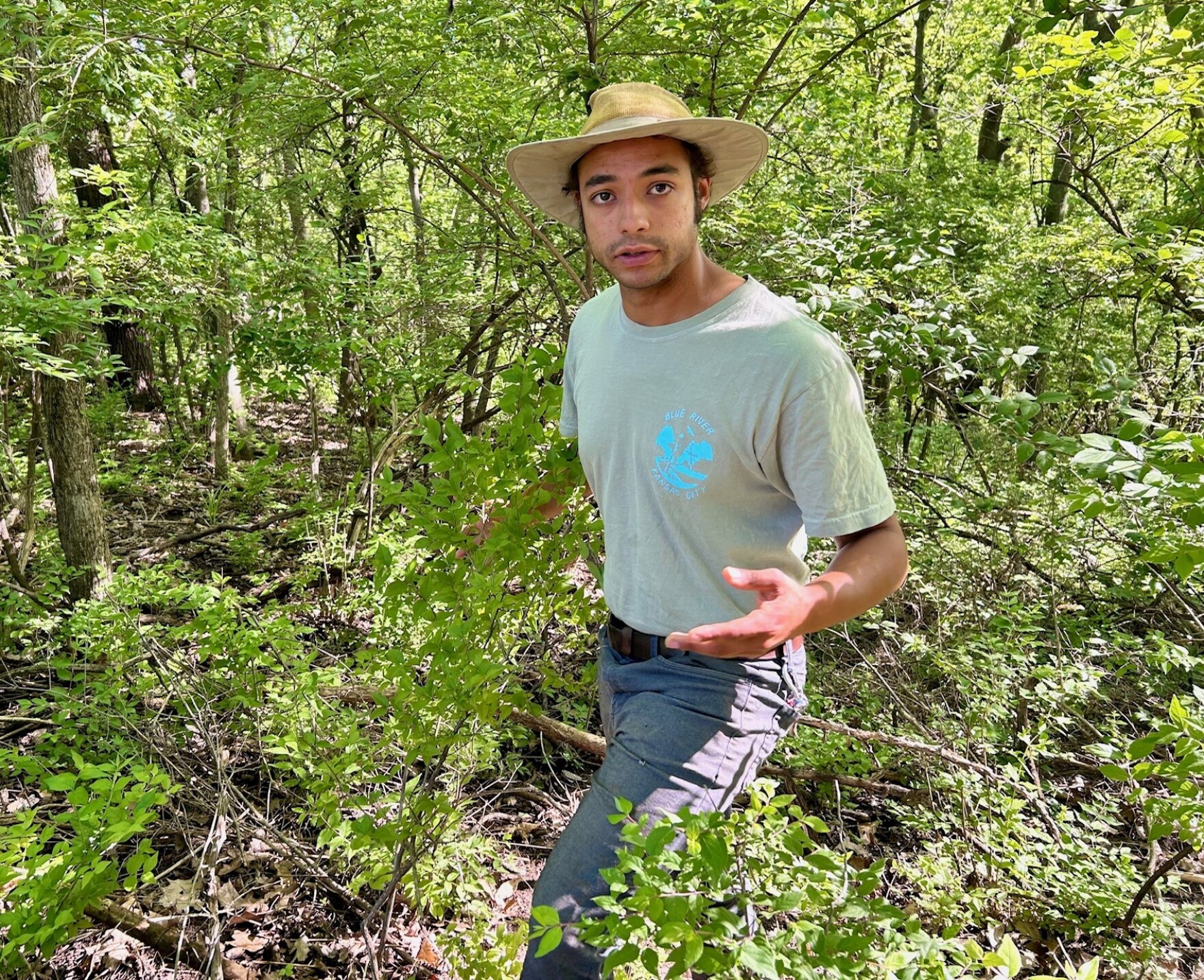 Dog attacks continue as Kansas City officials decide who should run ...