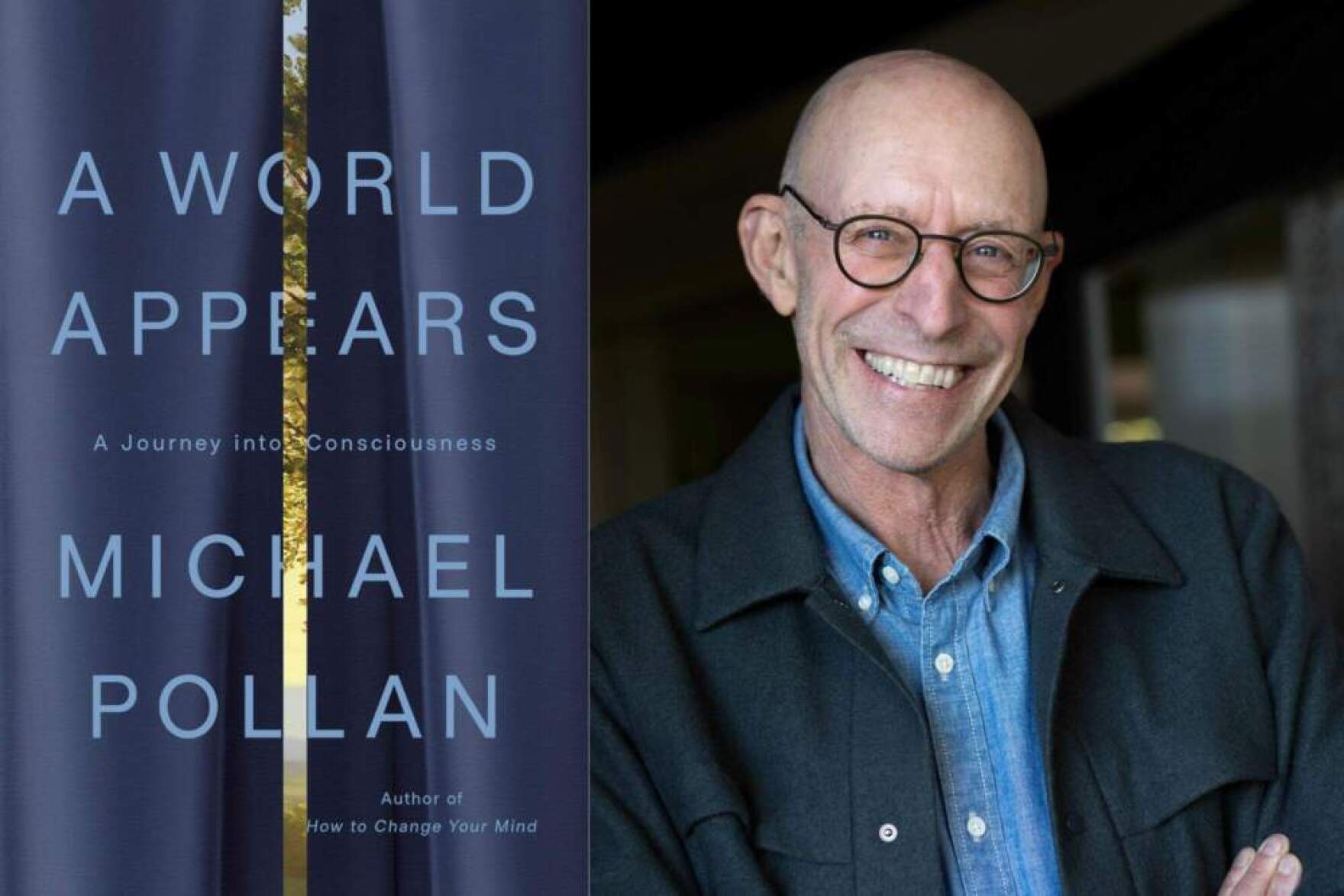 'A World Appears': Best-selling author Michael Pollan explores ...