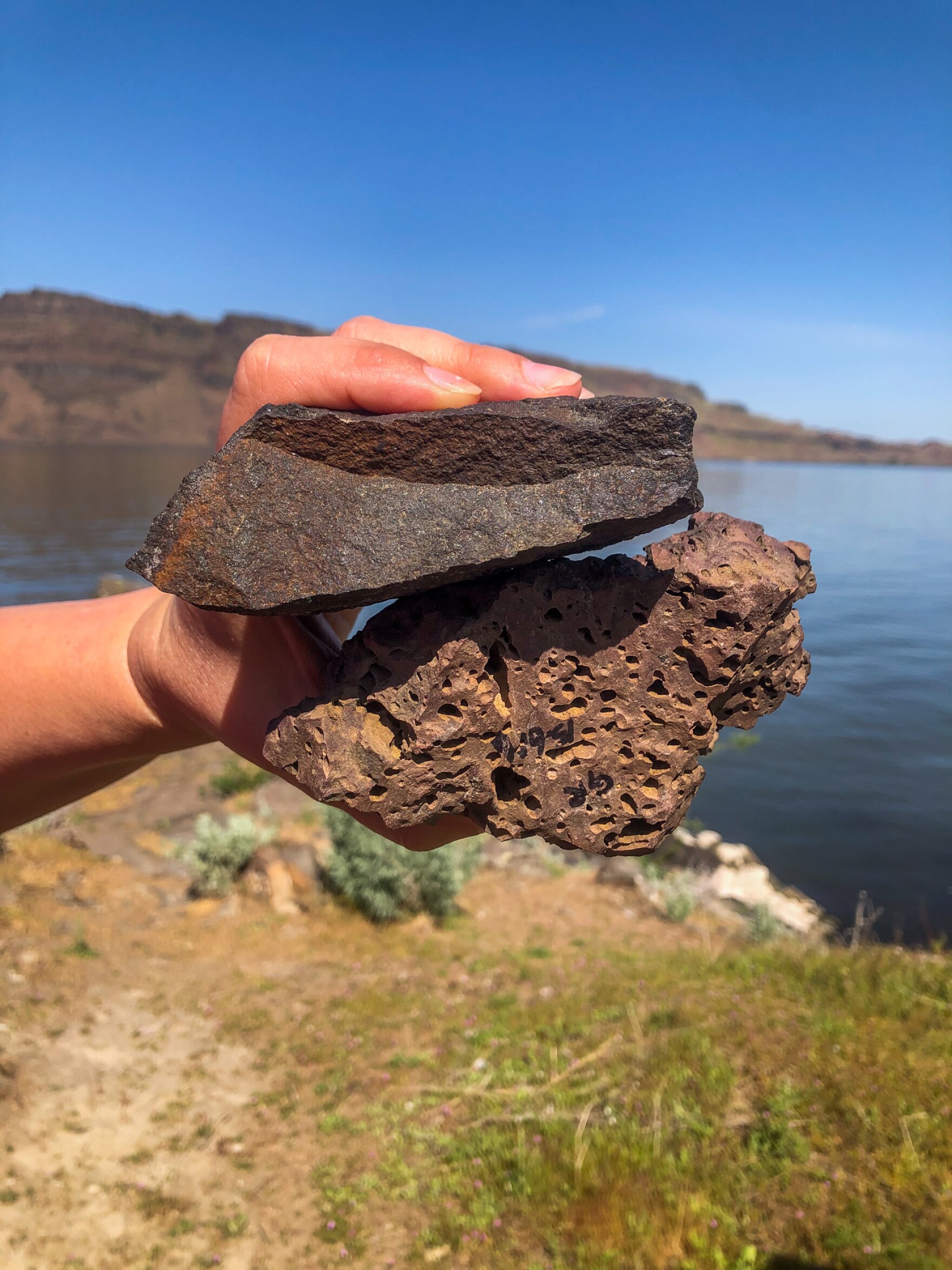 Scientist explore trapping CO2 in basalt rocks along Columbia River ...