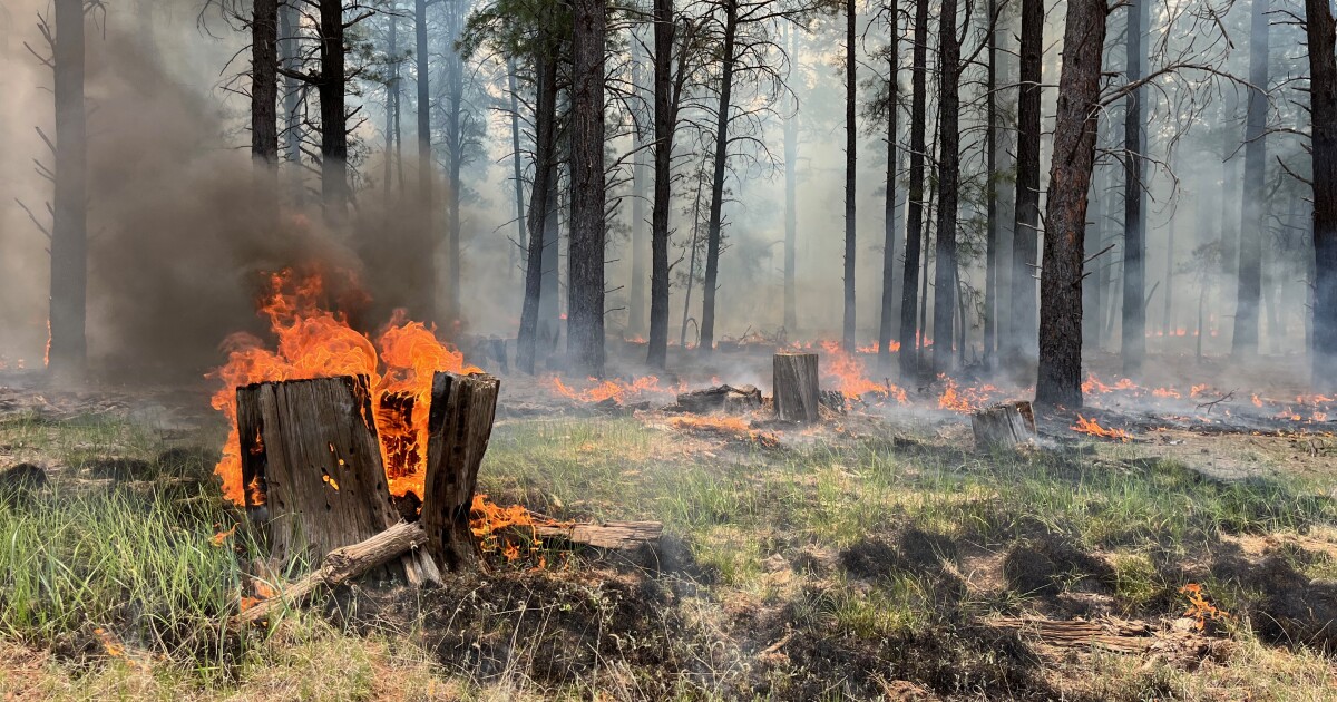 Crews manage small fire southwest of Flagstaff for forest health