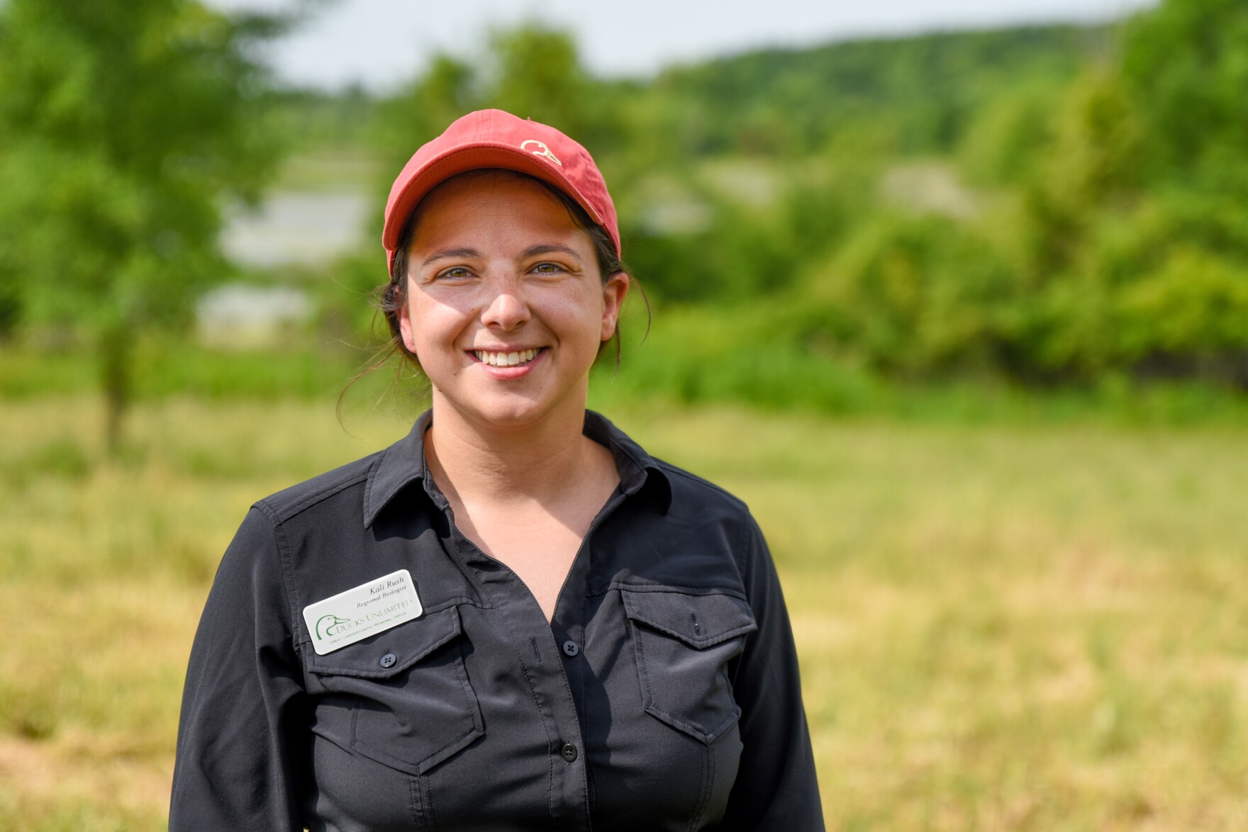 How much can wetland restoration reduce farm fertilizers getting into Lake Erie?