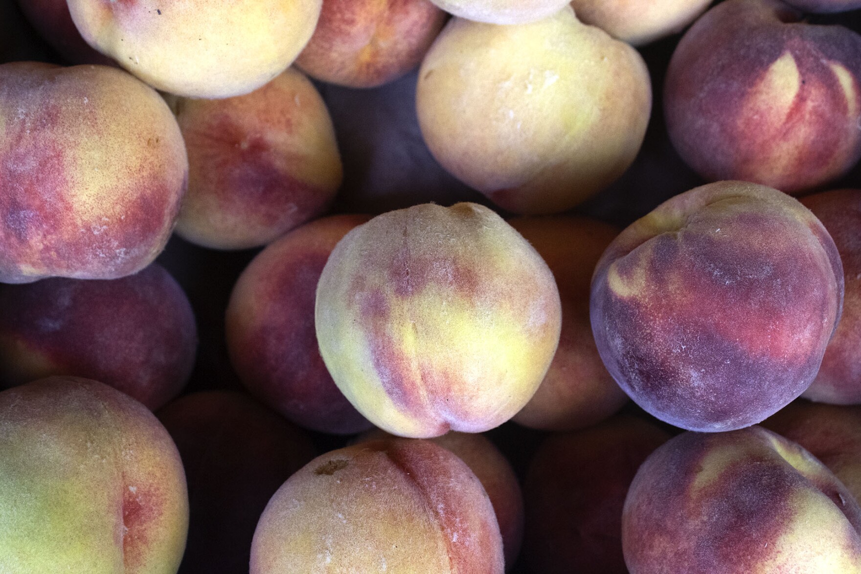What makes western Colorado’s peaches so good? | KUNC