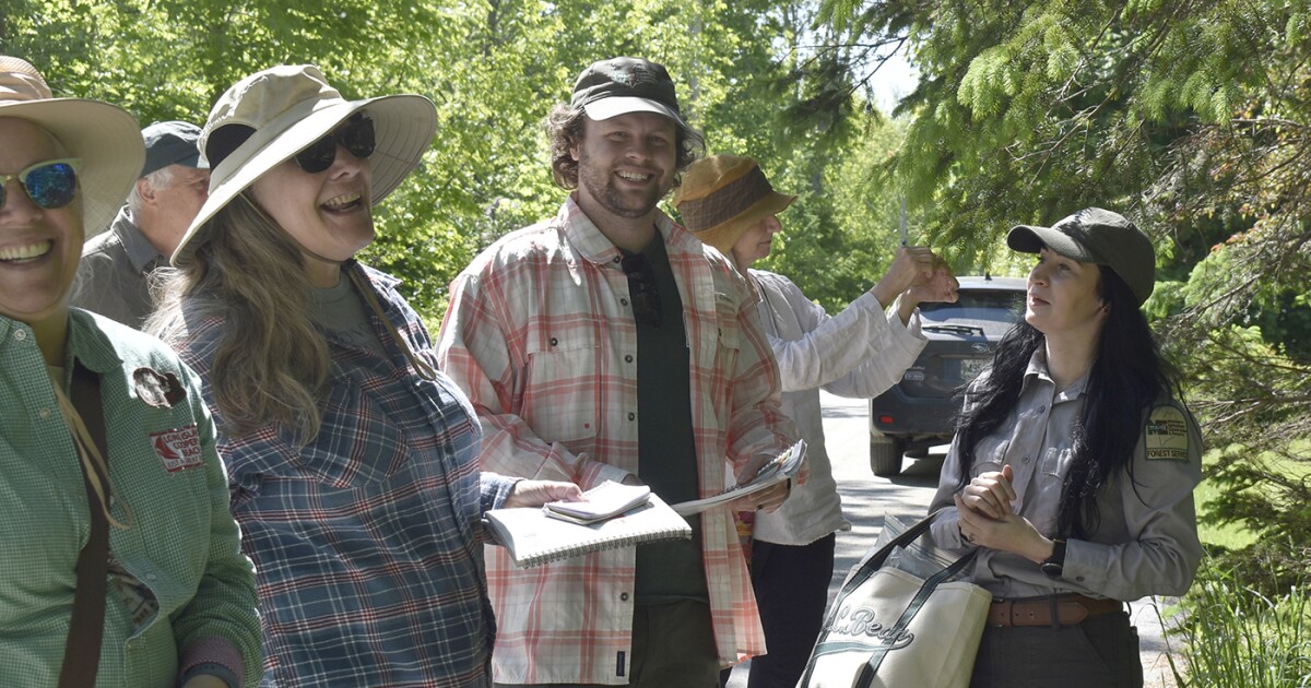 Tree ID Day in Searsport | Maine Public