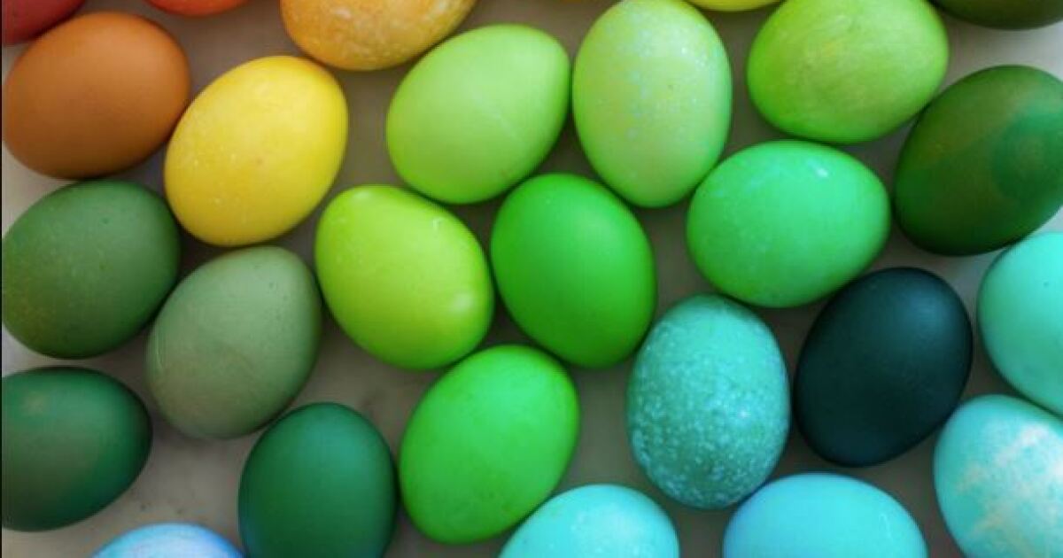 Lee and Collier counties offering Easter egg hunts and events | WGCU ...