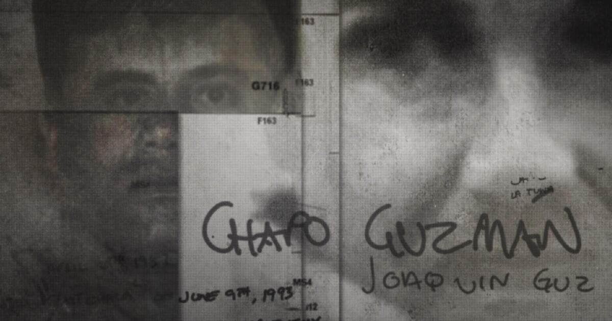 Drug Lord: The Legend of Shorty | New England Public Media