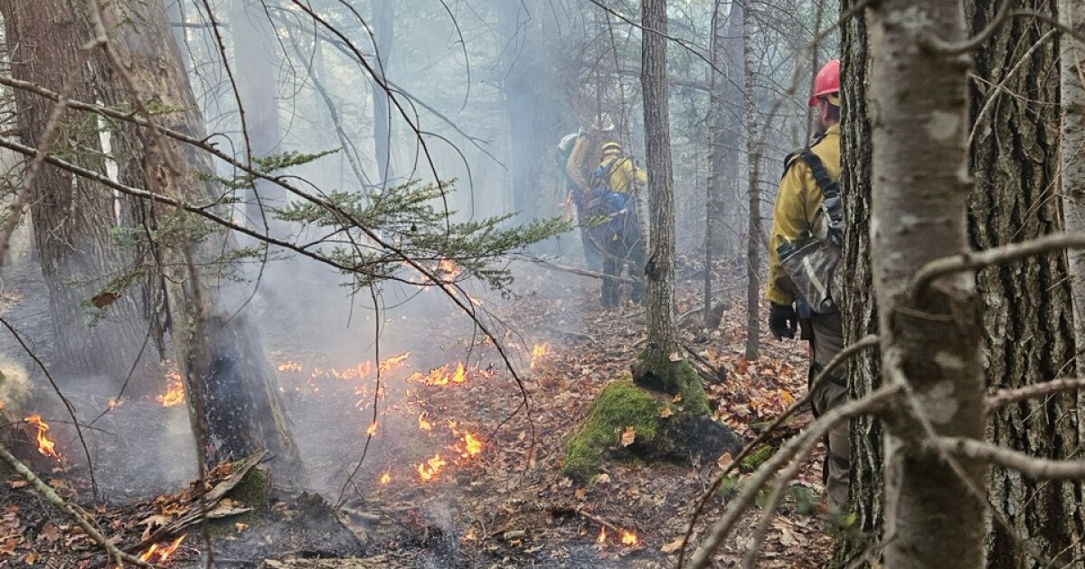 Summit Lake Fire expands to 225 acres | WNMU-FM