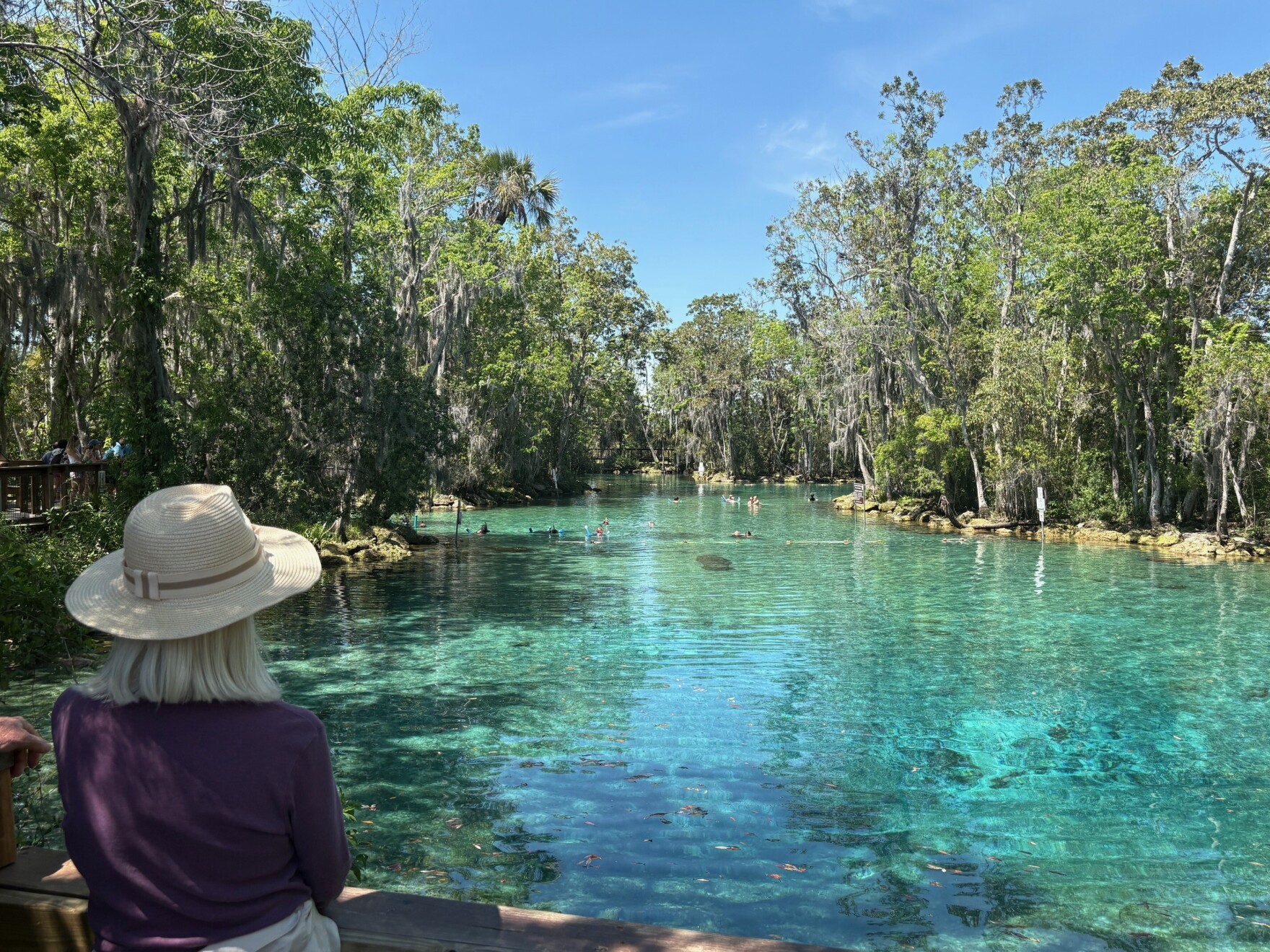 Judge favors state DEP in 'Springs Harm Rule' challenge