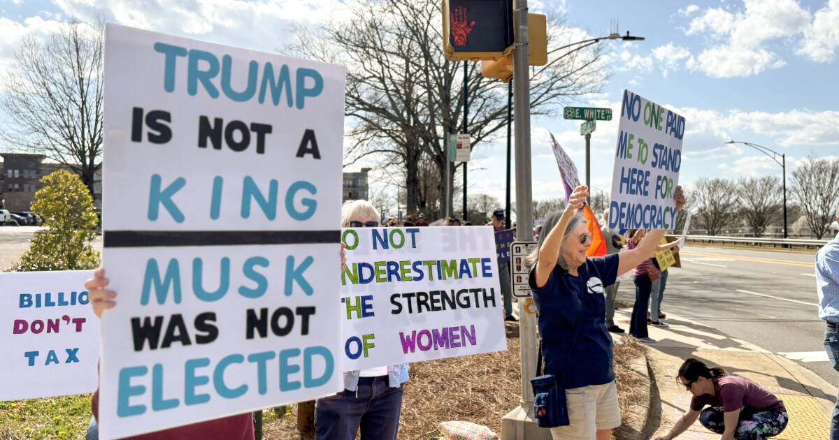Protest in Rock Hill targets DOGE cuts to federal programs, workforce ...