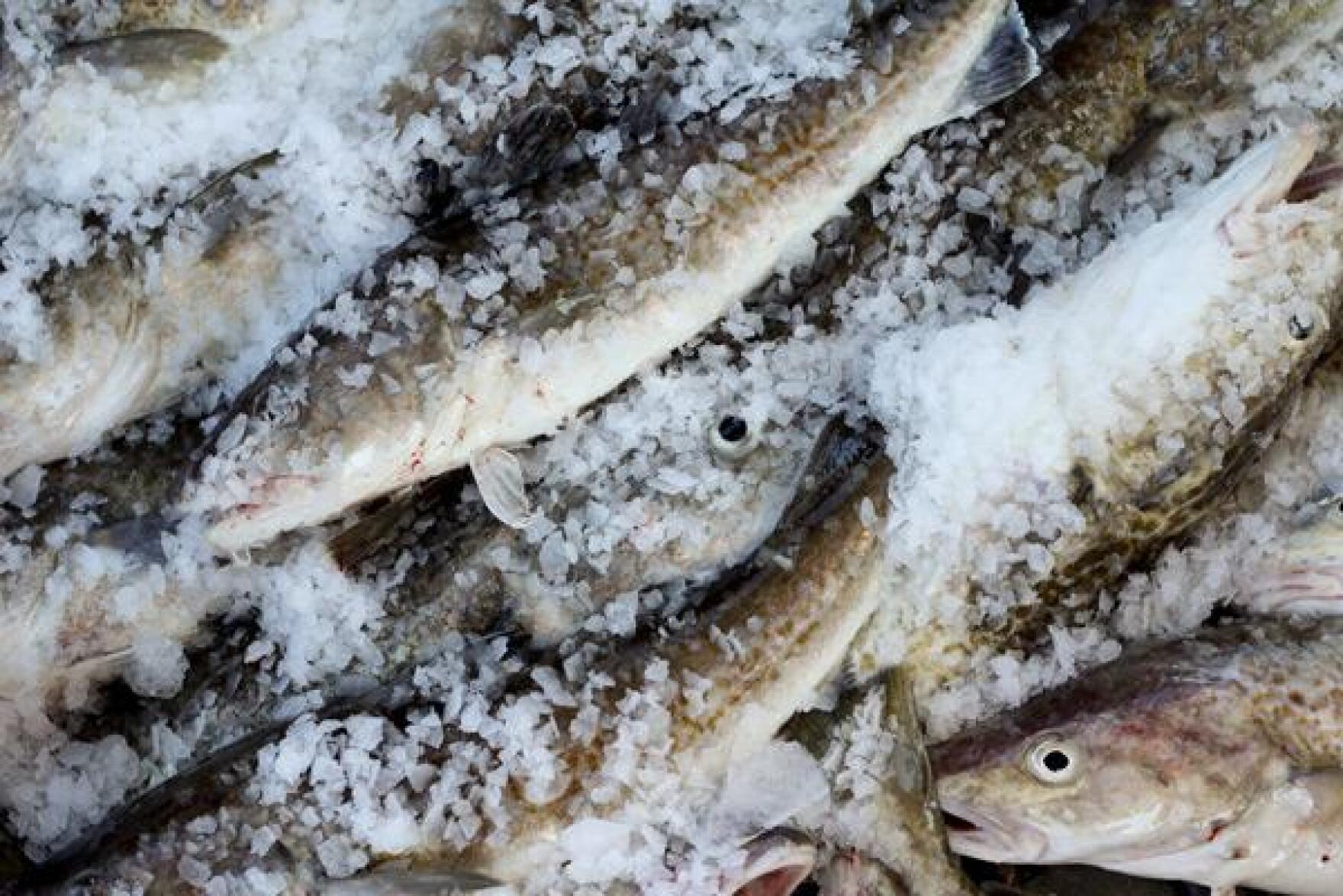 Extremely low cod numbers lead feds to close the Gulf of Alaska fishery ...