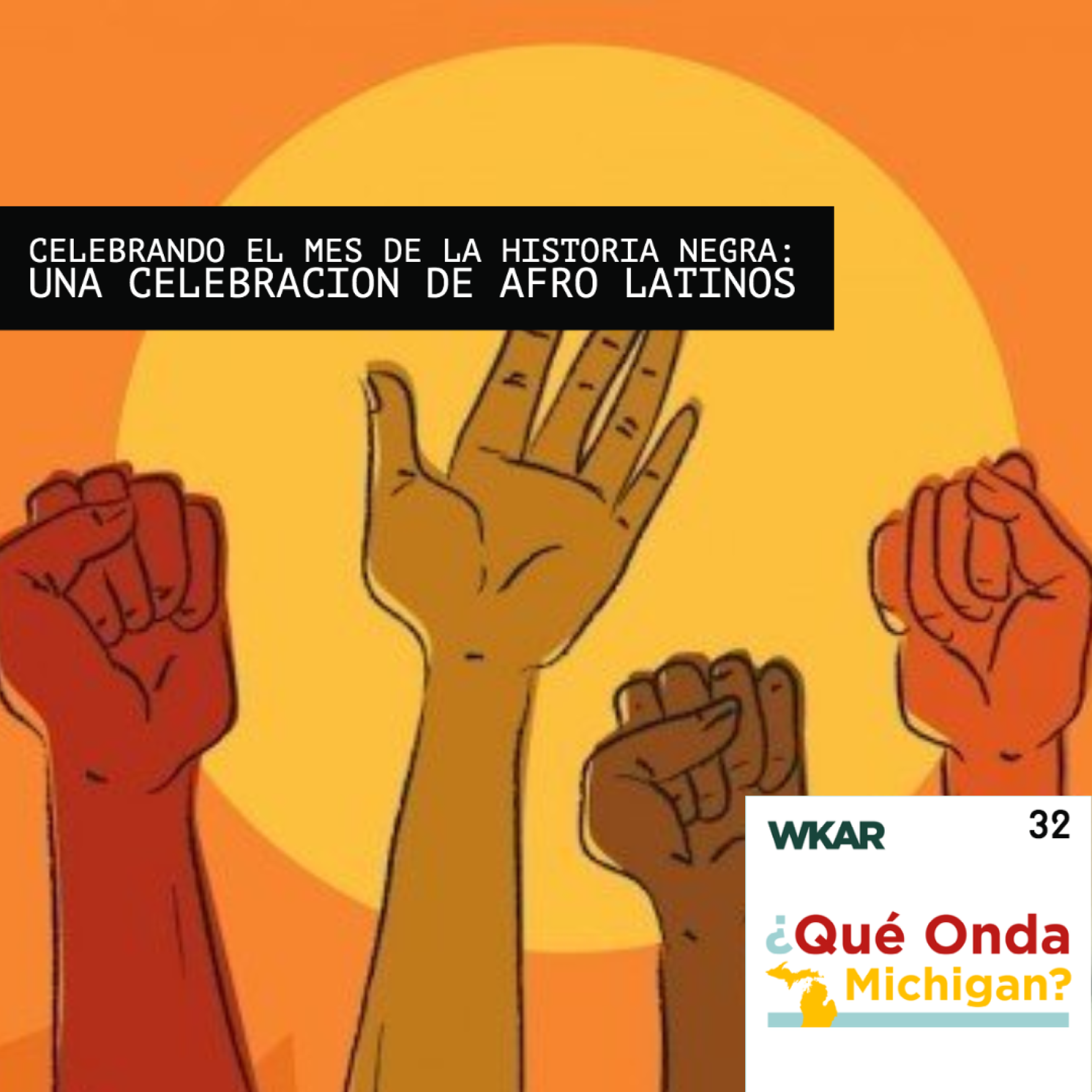 Celebrando el mes de la historia Negra: los Afro-Latinos | WKAR Public ...