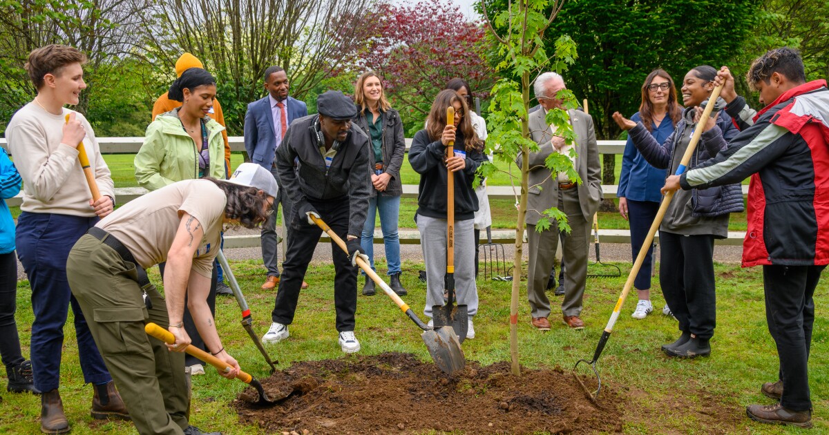 Norwalk debuts tree planting pilot program to help the climate and job ...