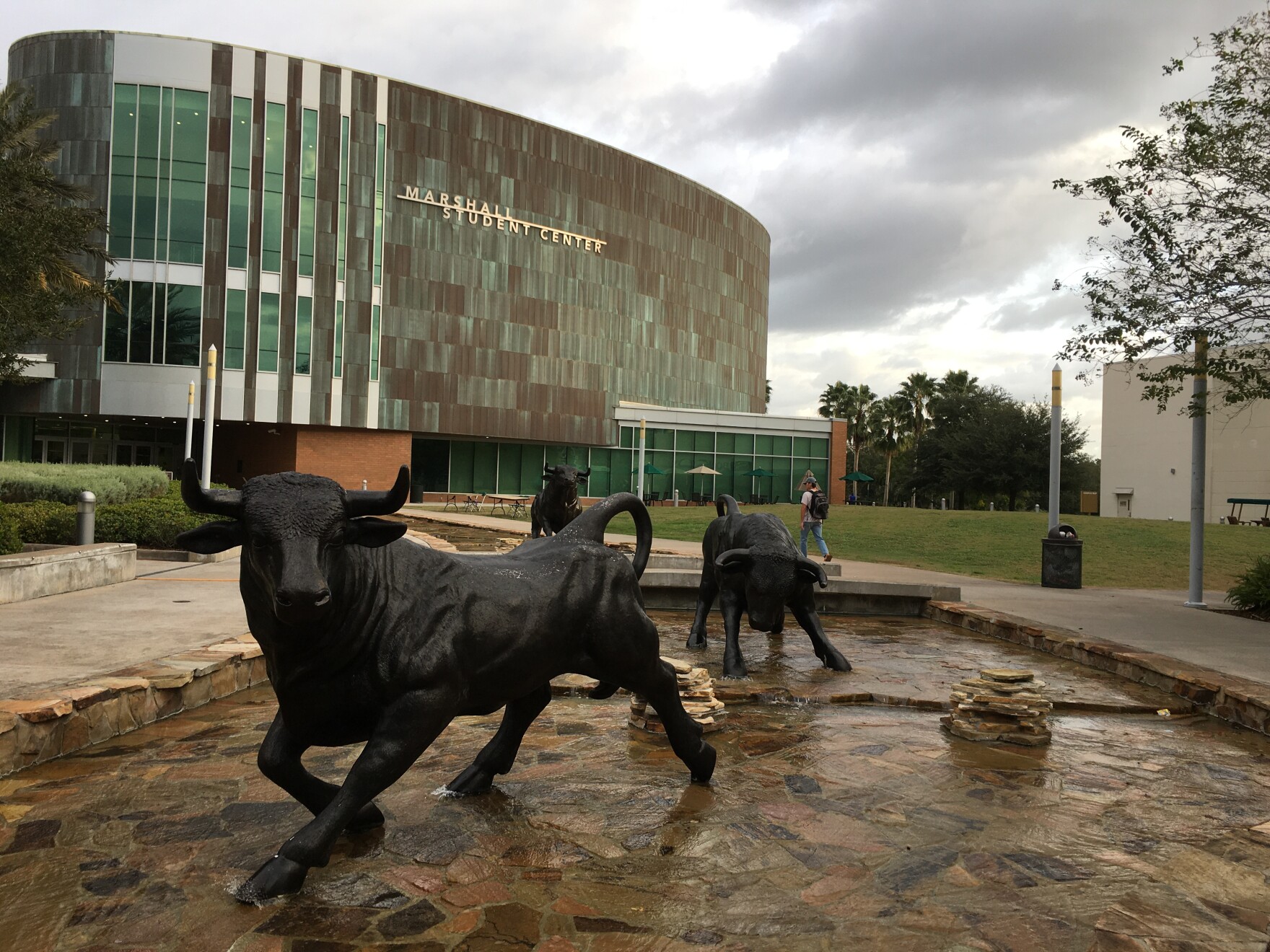 USF takes early steps toward $200 million research facility | WUSF