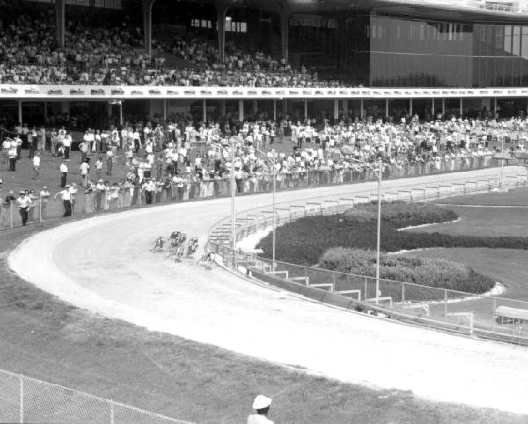 Derby Lane has a new owner — and an unclear future | WUSF