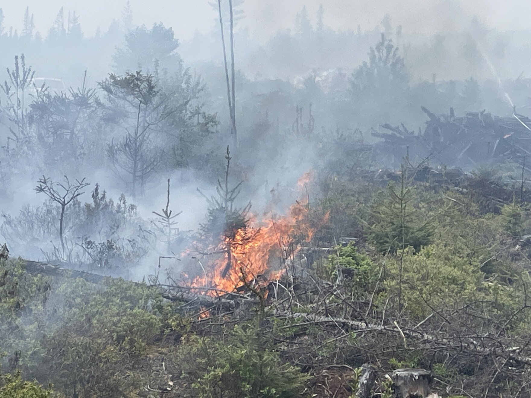 Cornell environmental engineers develop model to better forecast the ...