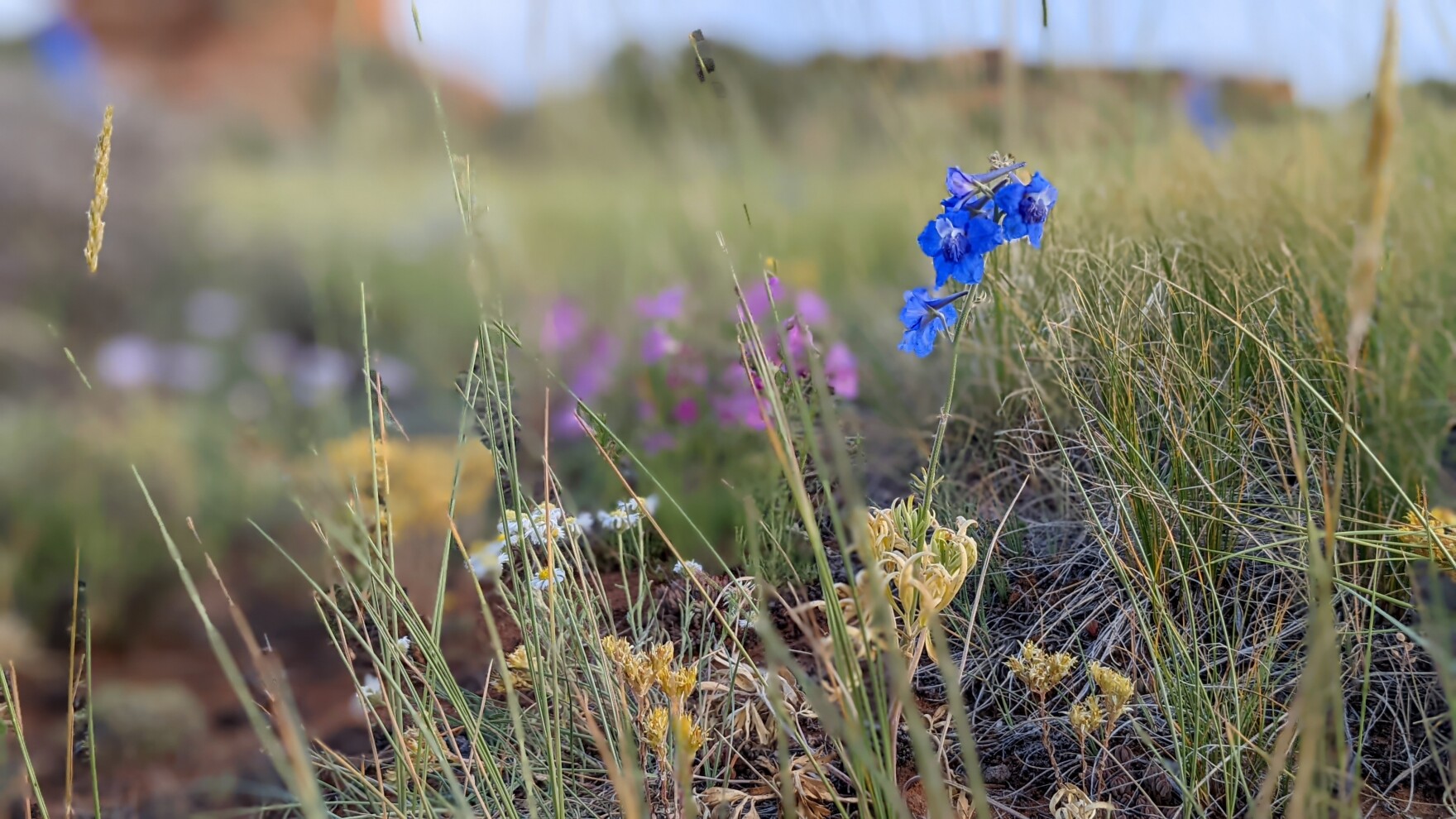 The oldest known dinosaur in North America shows up in Wyoming and gets ...