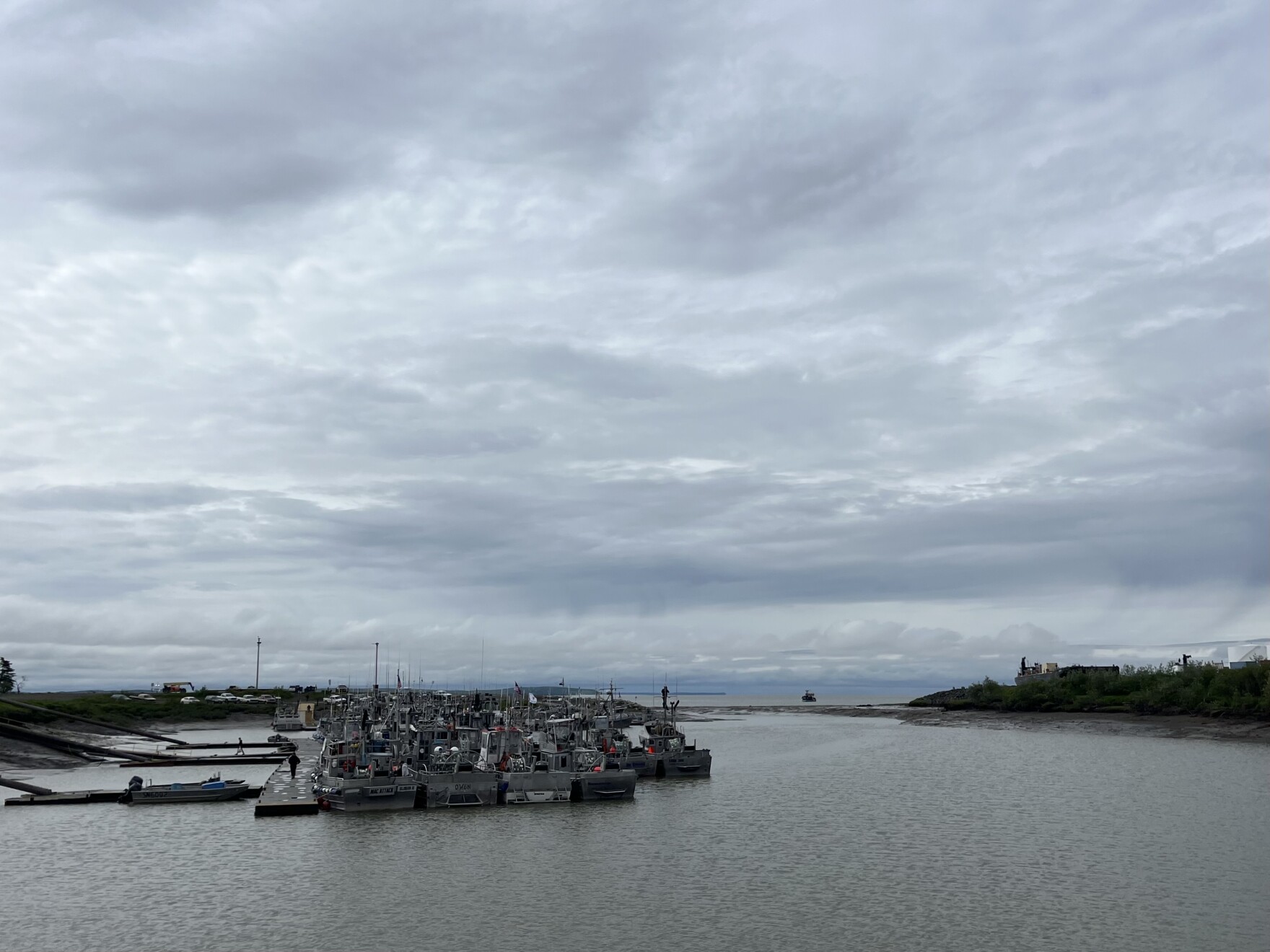 Bristol Bay Fisheries Report: June 20, 2024