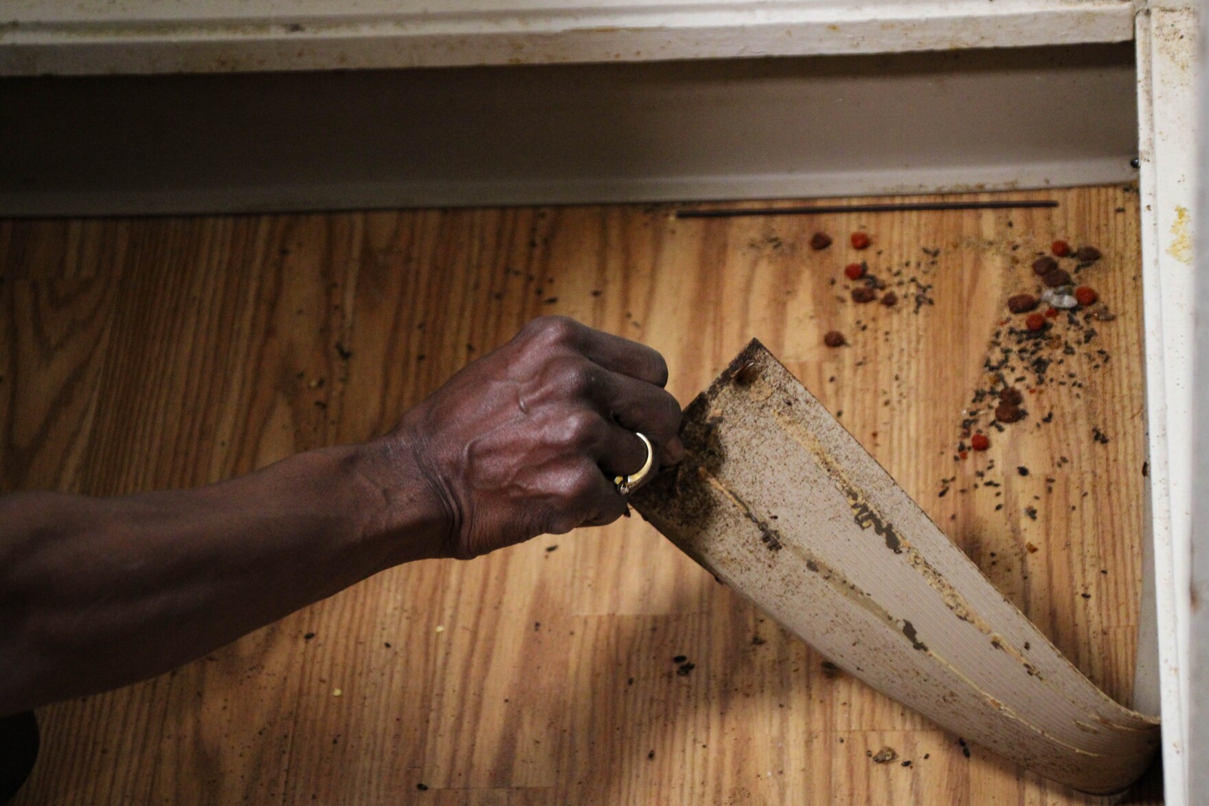 Independence Towers tenants end 8-month-long rent strike after reaching ...