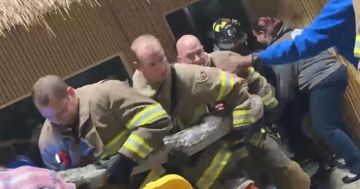 20-foot python is euthanized after fire at Miller Park Zoo in ...