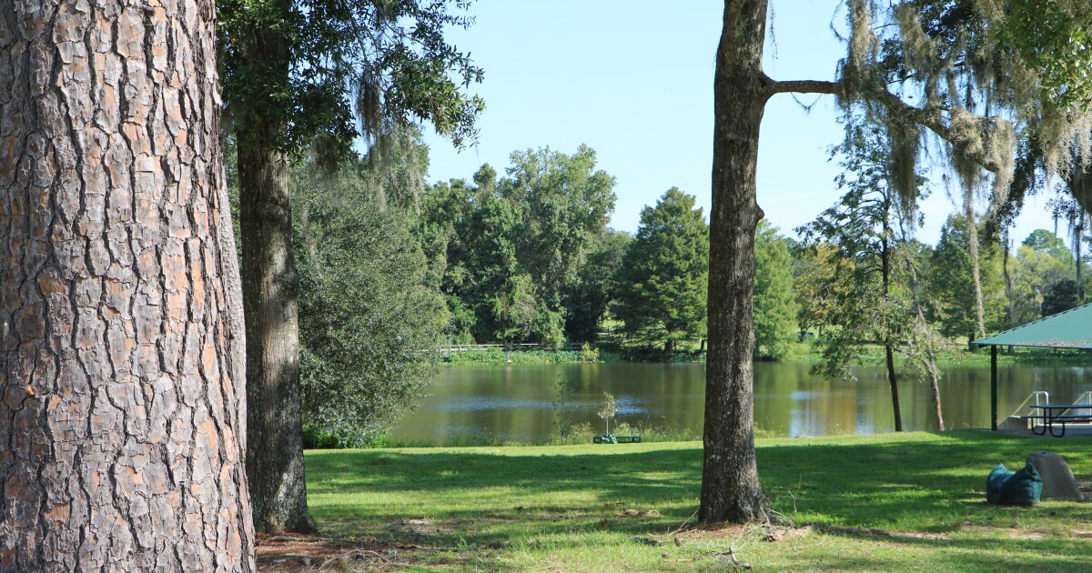 A Grand Jury calls a fatal police shooting in Tallahassee's Tom Brown ...