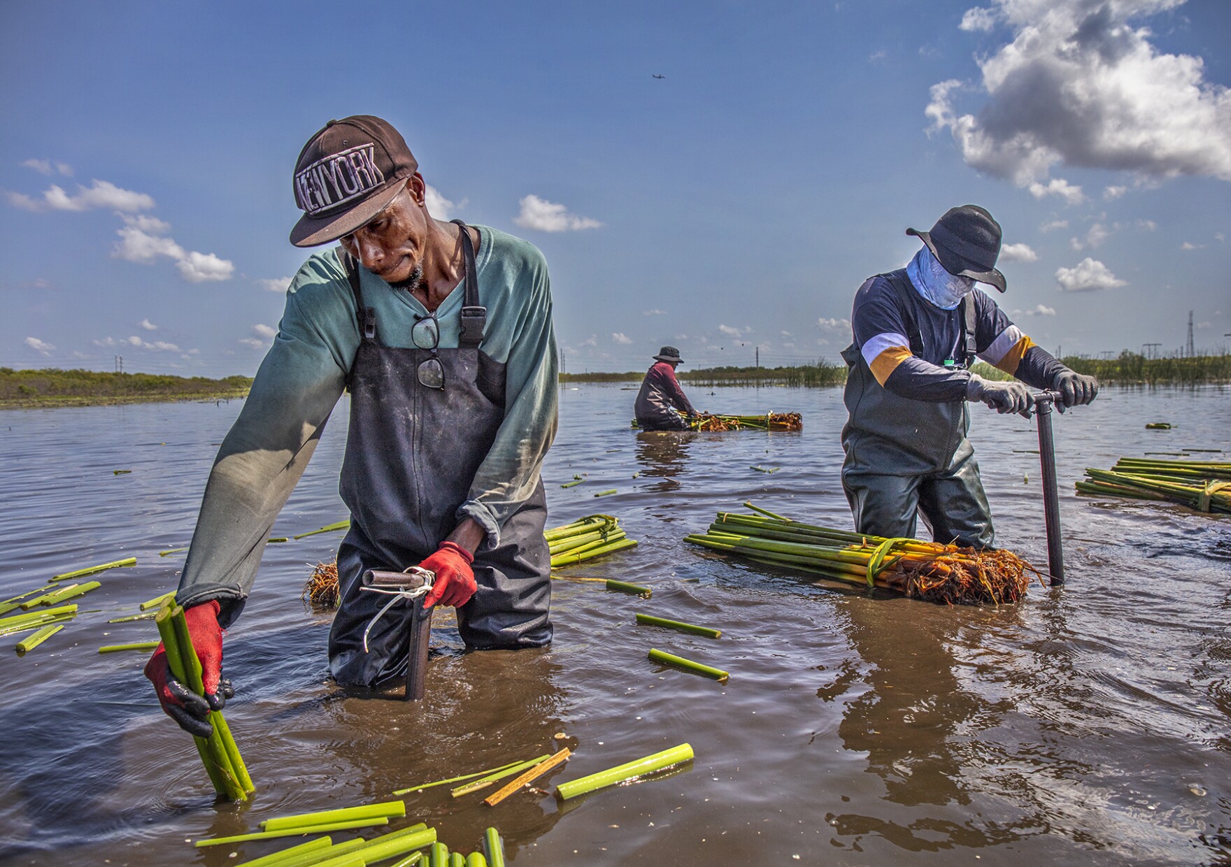 Clean-up of Everglades water polluted by Big Sugar tries to keep up | WUSF