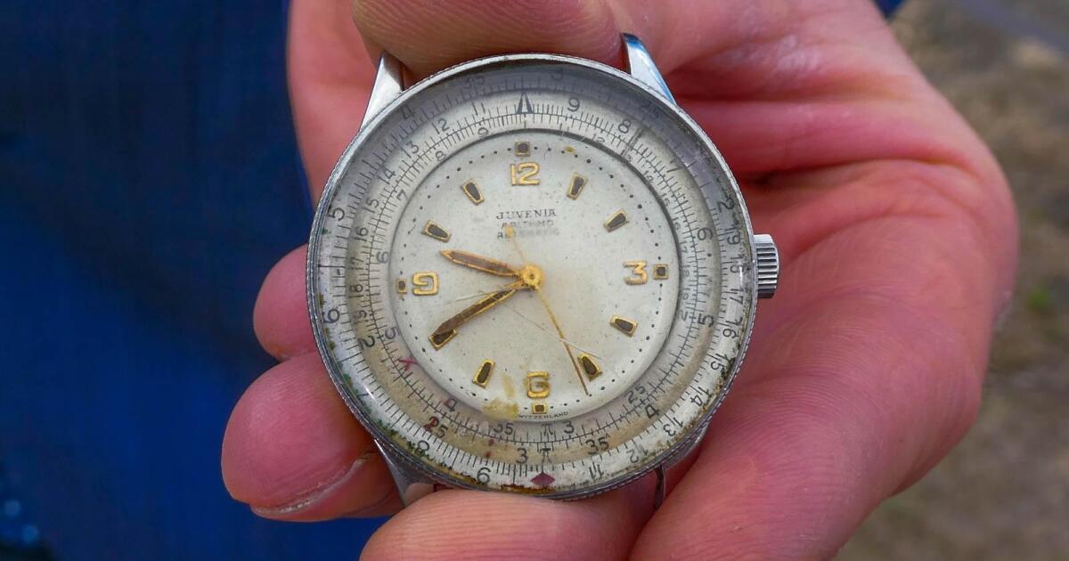 Appraisal: Juvenia Arithmo Calculator Watch, Ca. 1955 | WKAR Public Media
