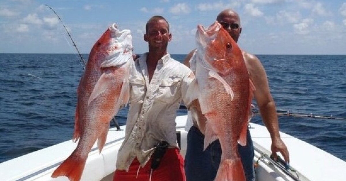 Florida to hold record 126-day Gulf red snapper season for 2025 | WUSF