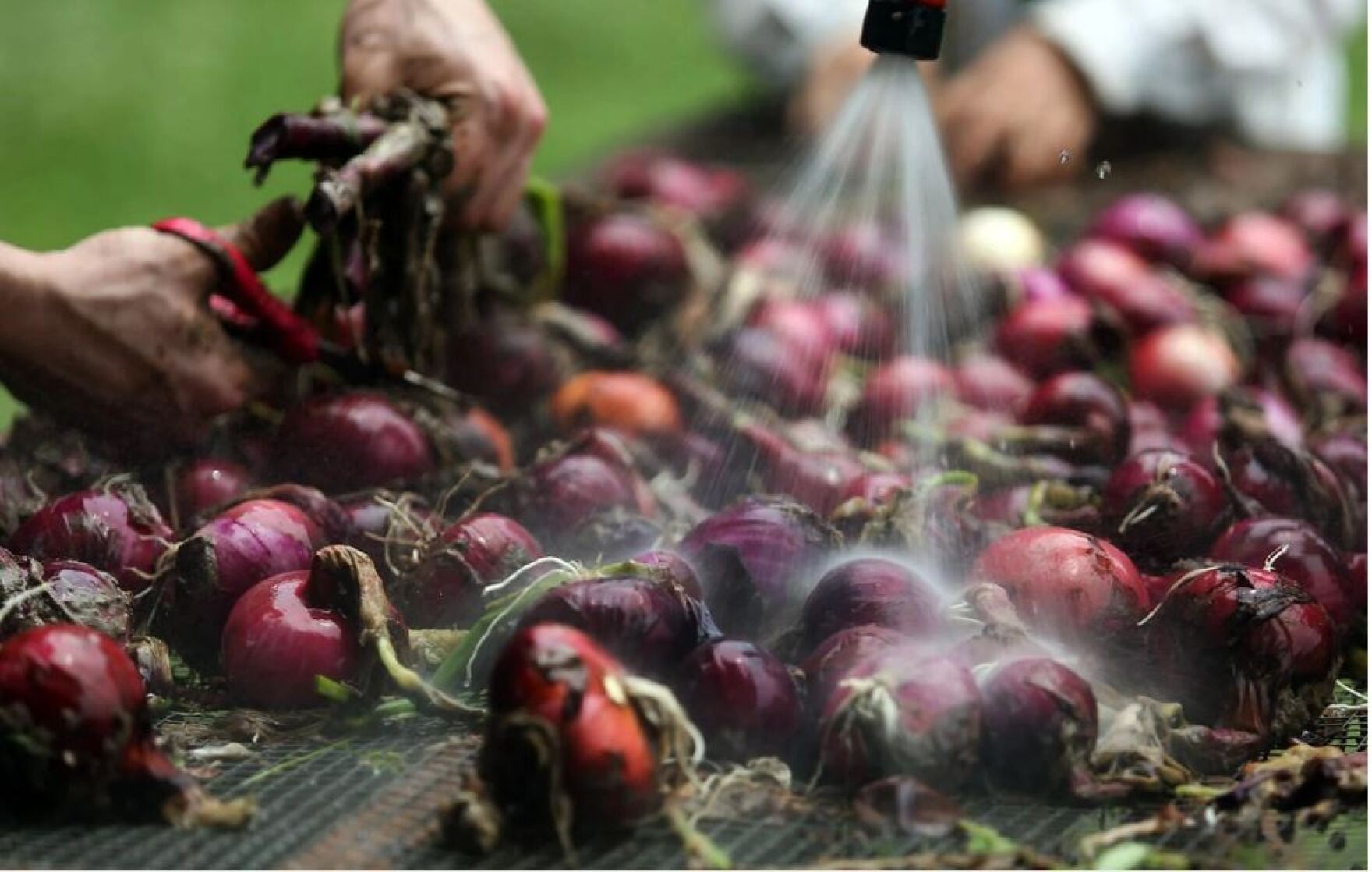Texas farmers struggle as U.S. denies Mexico’s water request over ...
