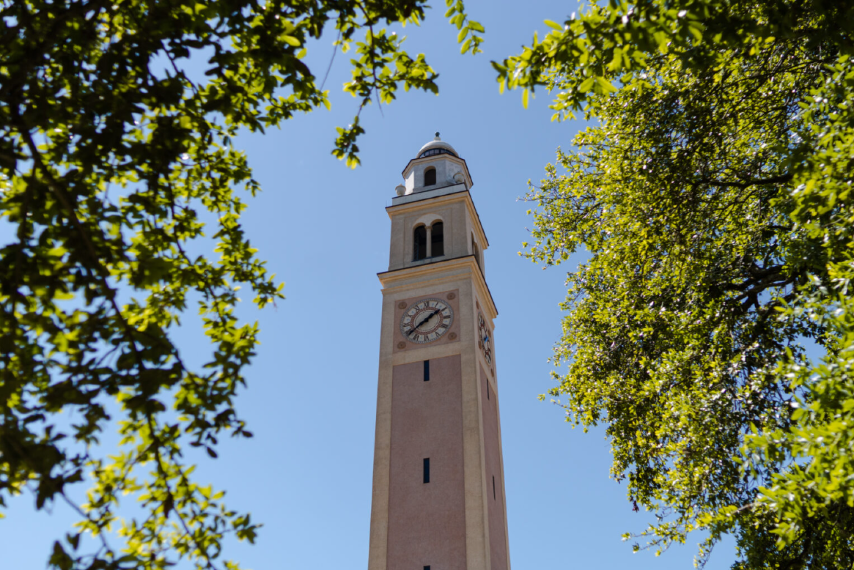 How Trump is changing higher education: The view from LSU and 3 other ...