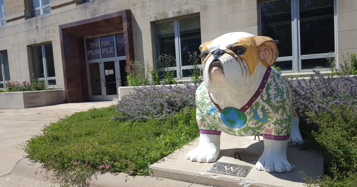 WIU Moving Ahead with Reopening Plan | WVIK, Quad Cities NPR