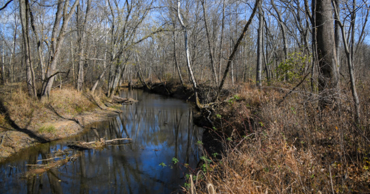 New DNR fish and wildlife area highlights success of partnership with ...