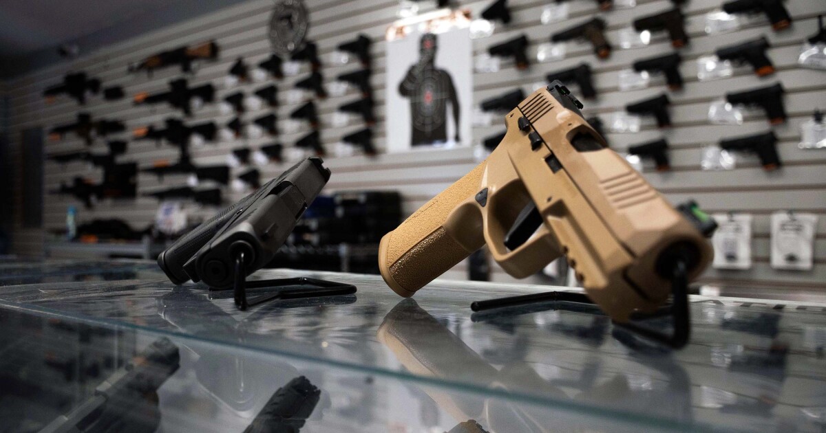 Florida tax breaks targets guns, ammo, camping gear | WGCU News | PBS ...