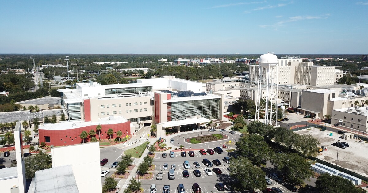 Tampa-area employees not spared as VA layoffs continue | WUSF