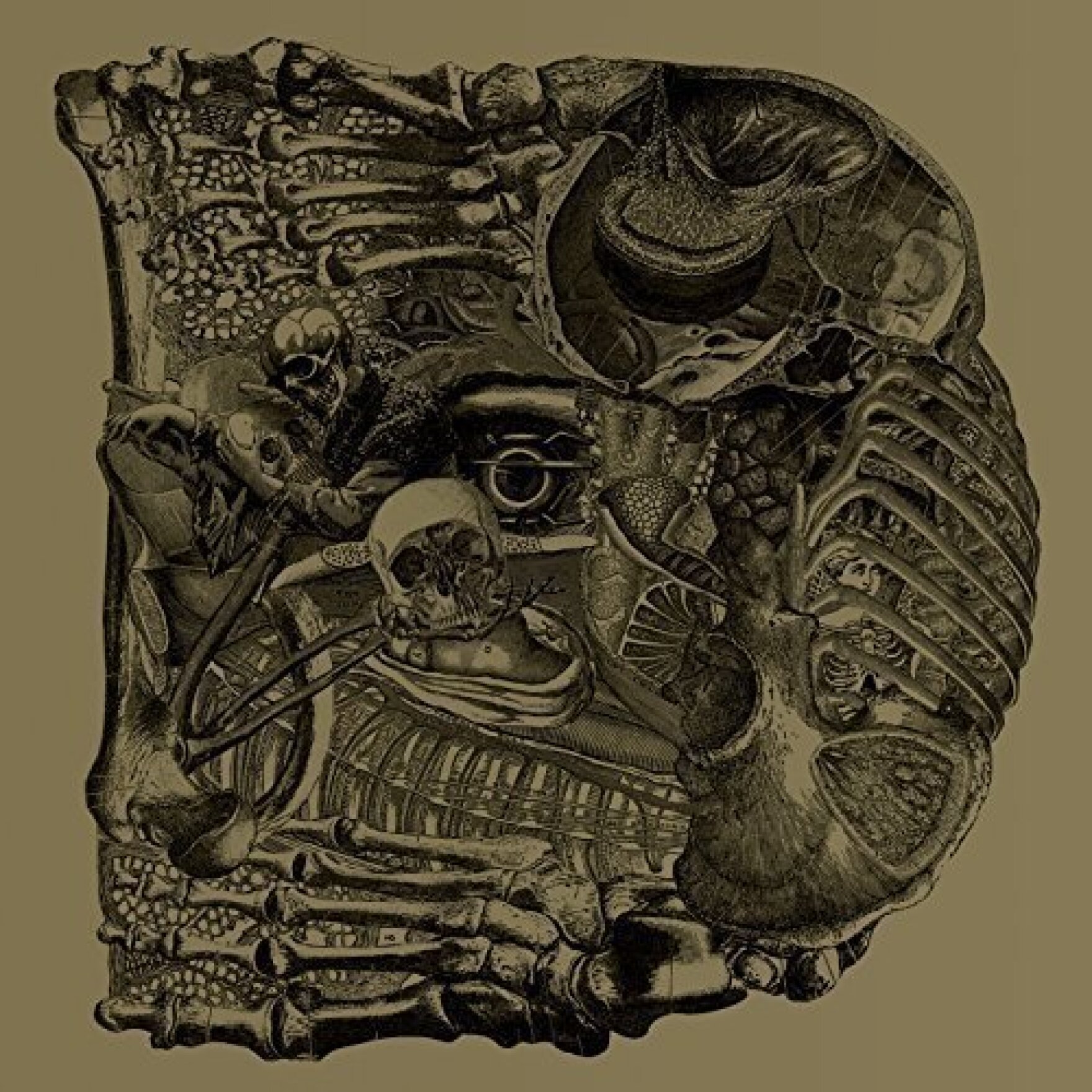 Review: Boris, 'Dear'