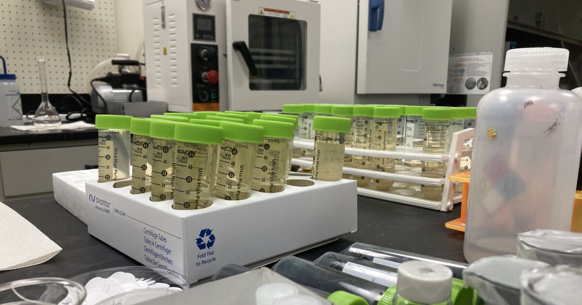 PFAS alternatives research limited but growing | WCMU Public Radio