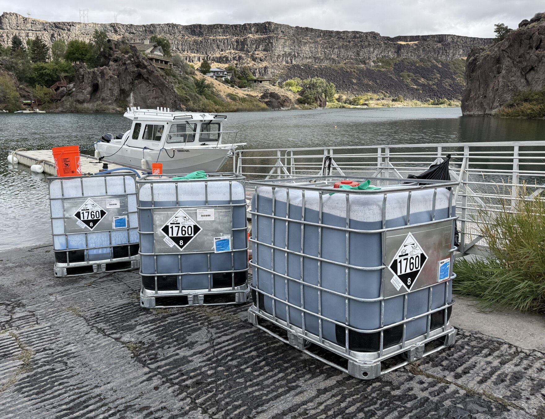 Department of Agriculture using copper chemical to combat Snake River ...