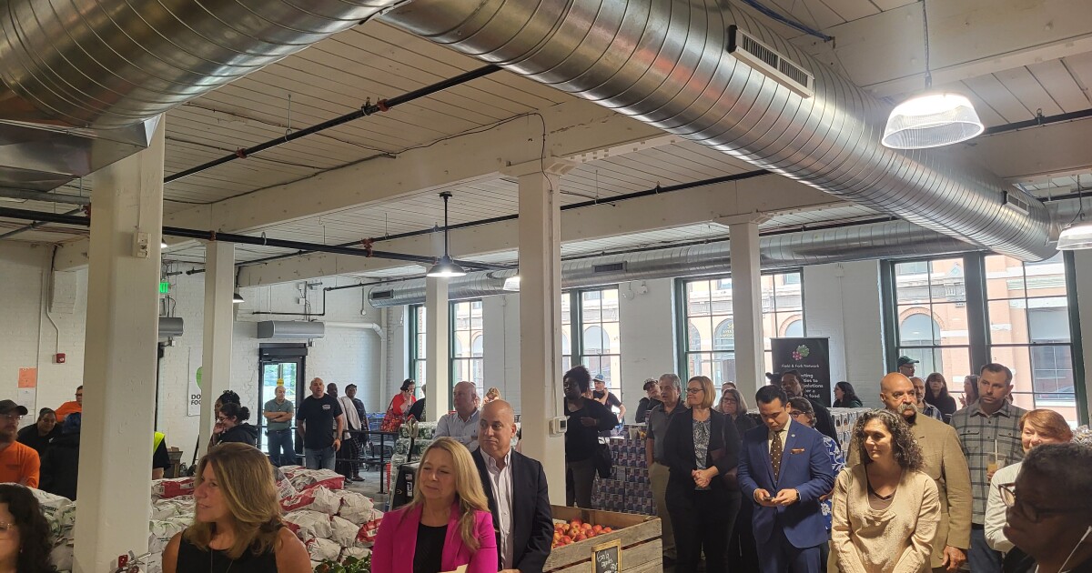 Bargain Grocery opens in Troy in bid to counter food desert | WAMC